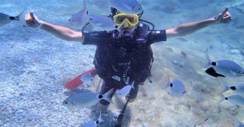 Antalya/ Belek Scuba Diving Tour With 2 Time Dive & Lunch - An In-Depth Look at the Tour