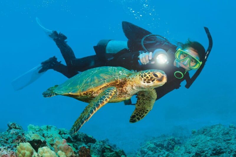 Antalya/ Belek Scuba Diving Tour With 2 Time Dive & Lunch - The Sum Up