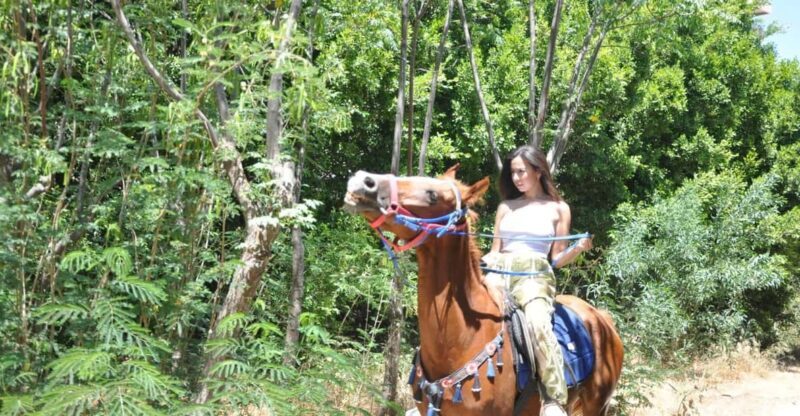 Antalya: Guided ATV and Horse Riding Safari in Lara - Why Travelers Love This Tour