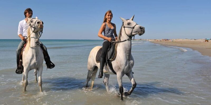 Antalya: Guided ATV and Horse Riding Safari in Lara - Practical Details & Considerations