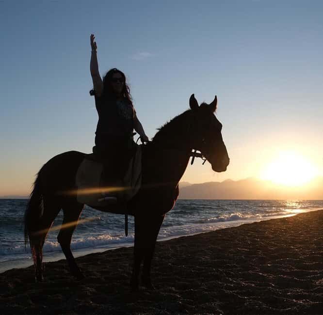 Antalya: Horse Riding on Sea and in the Forest - Analyzing the Value