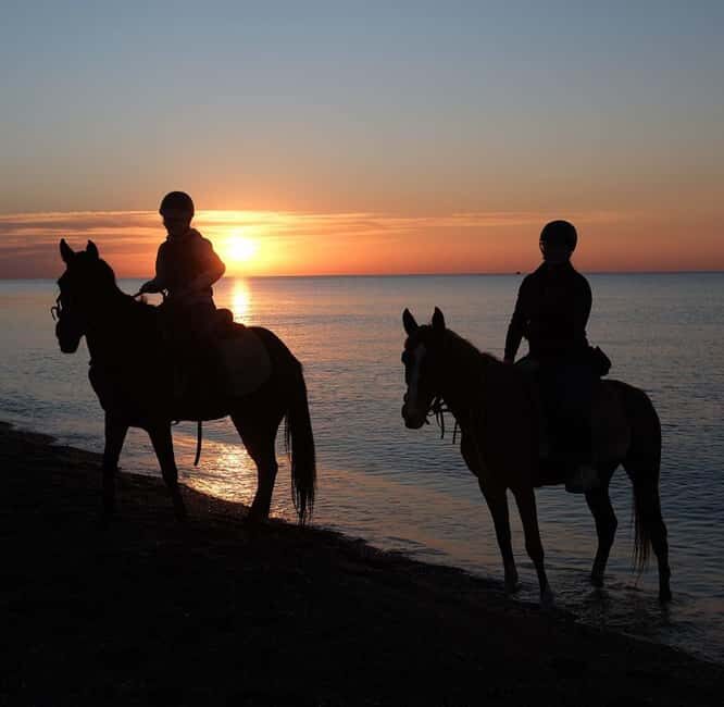 Antalya: Horse Riding on Sea and in the Forest - Practical Tips for Travelers