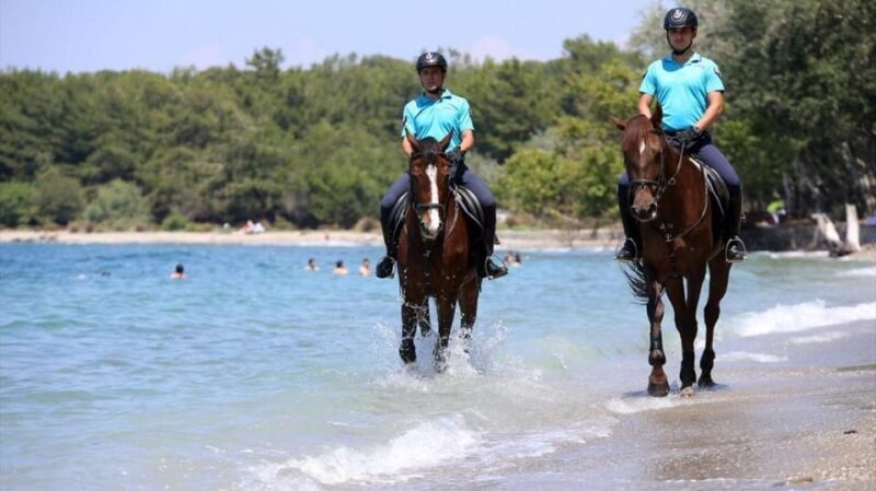 Antalya Horse Safari - Why Choose the Antalya Horse Safari?