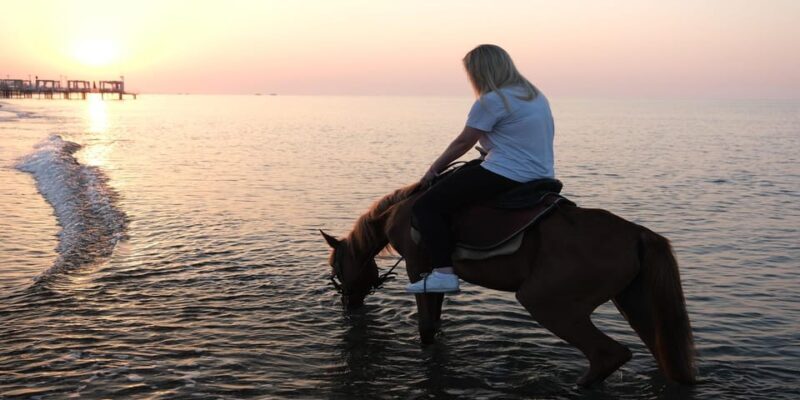 Antalya Horse Safari - The Sum Up