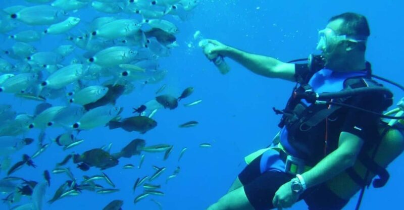 Antalya/ Kemer/ Belek Scuba Diving With Lunch & Transfer - Key Points