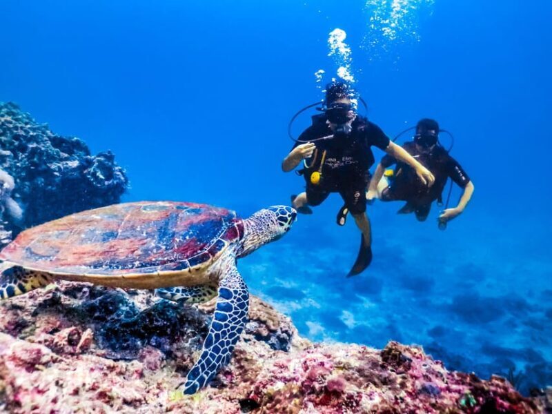 Antalya/ Kemer/ Belek Scuba Diving With Lunch & Transfer - What Do Travelers Say?