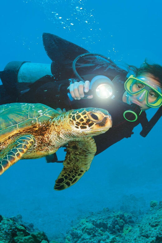 Antalya/ Kemer/ Belek Scuba Diving With Lunch & Transfer - Who Will Love This Tour?
