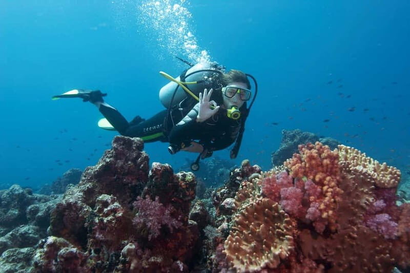 Antalya/Kemer: Scuba Diving Experience with 2 Dives & Lunch - Final Thoughts