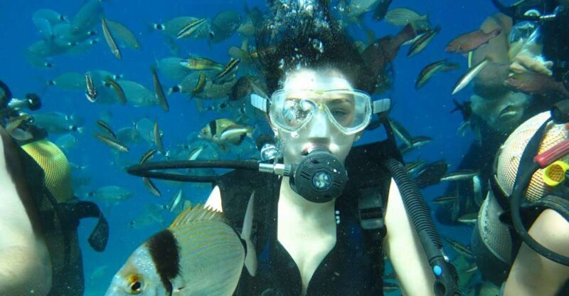 Antalya/Kemer: Scuba Diving Experience with Lunch & Pick up - A Detailed Look at the Kemer Scuba Experience