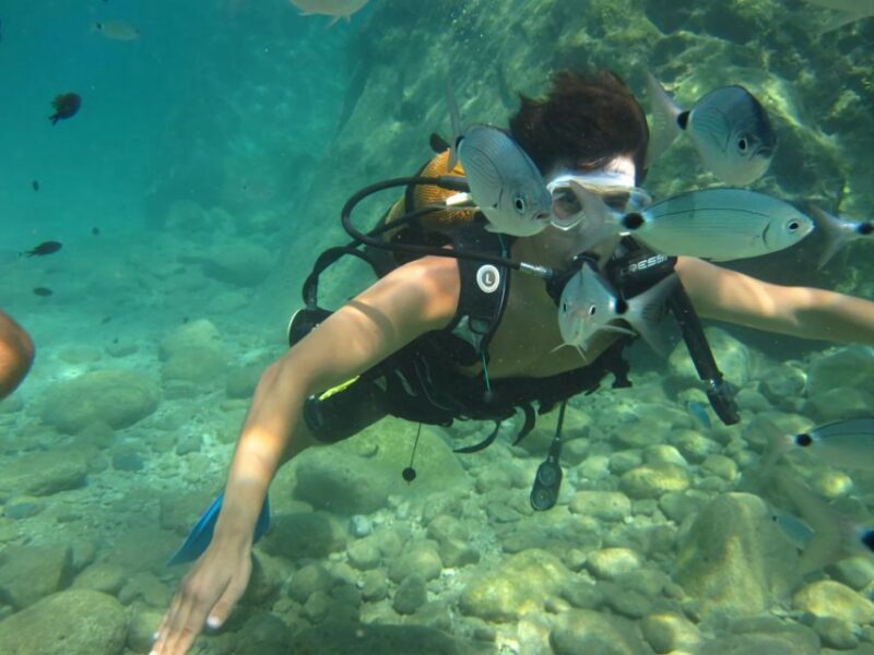 Antalya/Kemer: Scuba Diving Experience with Lunch & Pick up - Who Will Love This Tour?