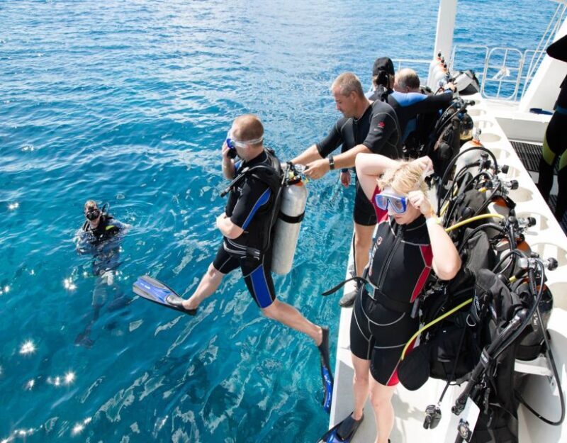 Antalya/Kemer: Scuba Diving with Pickup, Lunch, and 2 Dives - The Practical Side: Transportation, Duration, and Cost