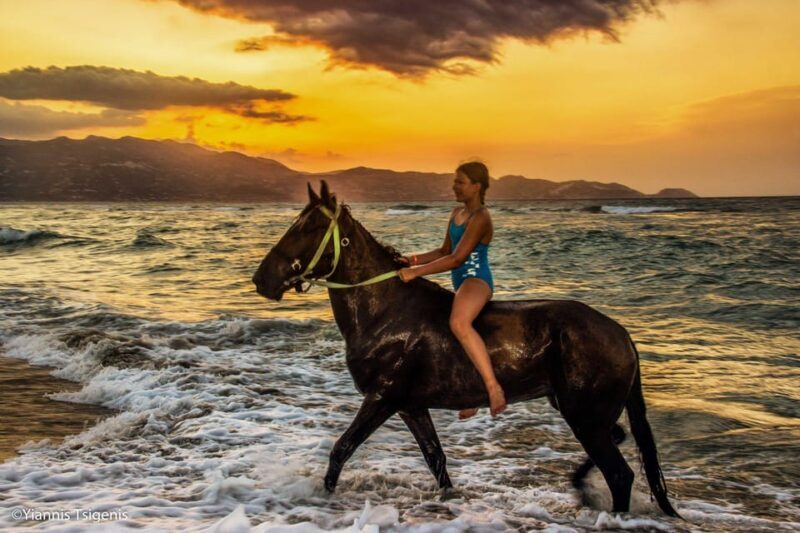 Antalya: Lara Beach & Forrest Horse Riding Safari - An In-Depth Look at the Antalya Lara Horse Riding Safari