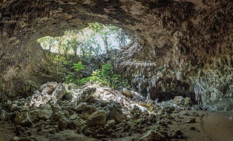 Antalya: Sagalassos Ruins and Insuyu Cave Day Trip - Why This Tour Offers Value for Travelers