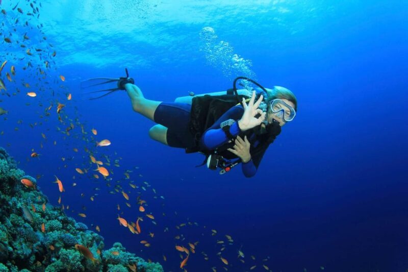 Antalya Scuba Diving Adventure with Expert Diver Option - Key Points