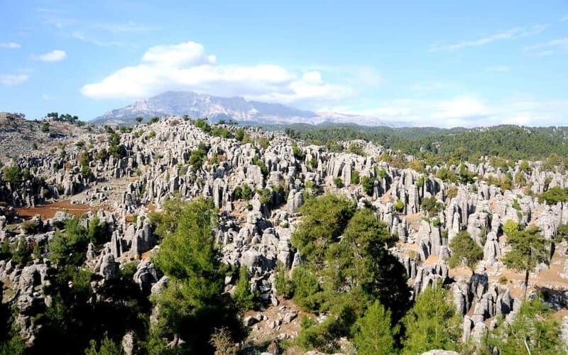 Antalya Taz Canyon &Rafting with Optional Safari Adventures - An In-Depth Look at the Experience