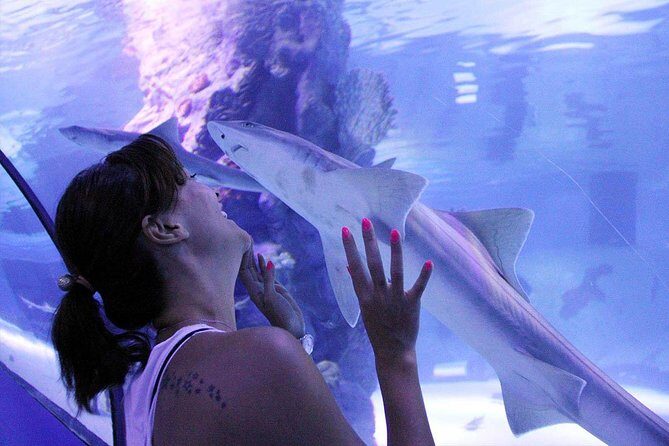 Antalya Tunnel Aquarium - Departure from Side - Detailed Breakdown of the Tour Experience