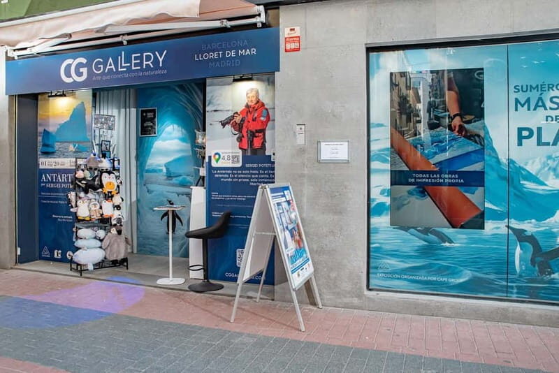 Antarctica Interactive Experience - An In-Depth Look at the Antarctica Interactive Experience