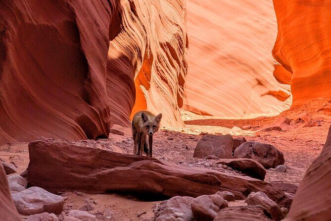 Antelope Canyon Kayak and Hike Slot Canyon - Authentic Feedback From Past Participants