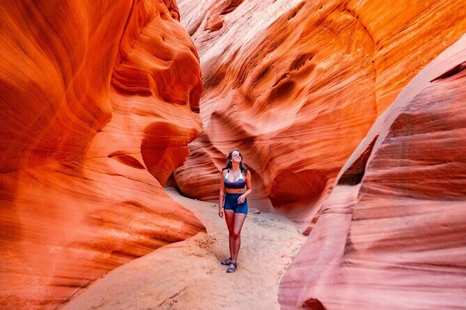 Antelope Canyon Lower Level and Horseshoe Bend - Why Choose This Tour?