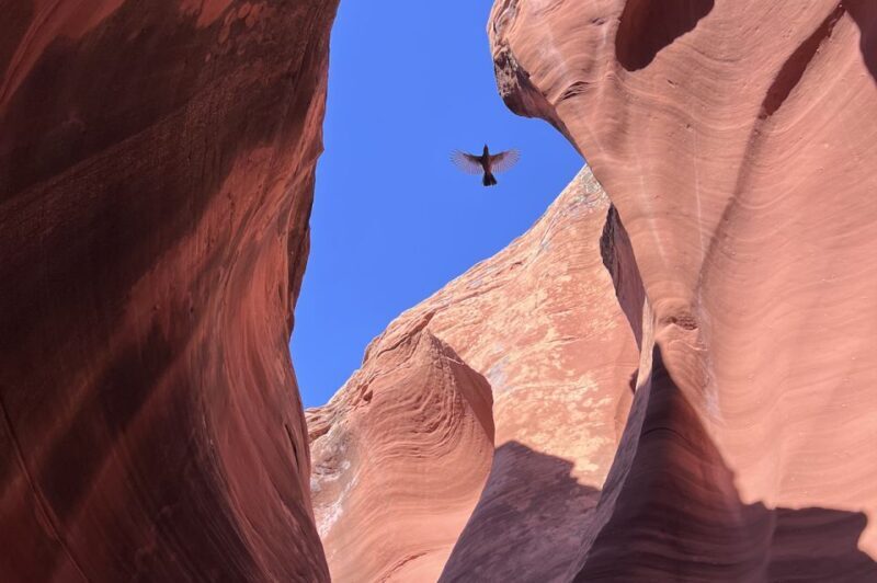 Antelope Canyon: Rattlesnake Canyon Tour - Introduction