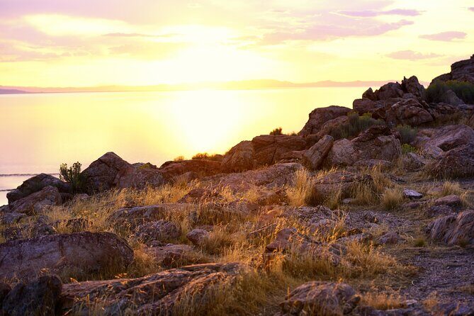 Antelope Island Sunset Wildlife Expedition Great Salt Lake Tour - Practical details and tips