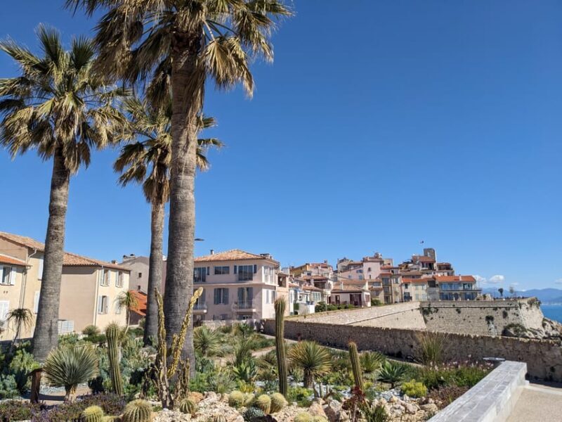 Antibes: 2 hour walking tour in the old town - In-Depth Review of the Antibes Old Town Tour