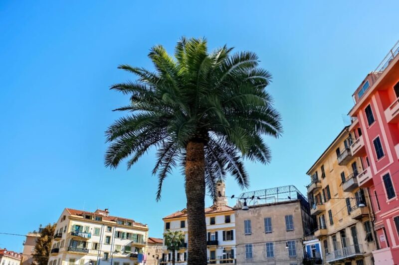 Antibes: Express Walk with a Local in 60 minutes - Key Points
