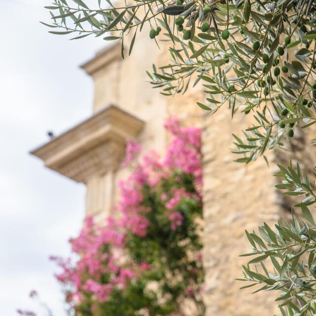 Antibes: Express Walk with a Local in 60 minutes - Why This Tour Works Well for Travelers