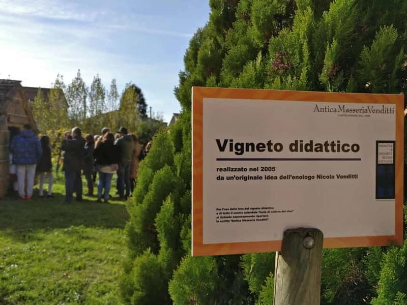 Antica Masseria Venditti: guided visit to the winery with wine tasting - Antica Masseria Venditti: Guided Visit to the Winery with Wine Tasting