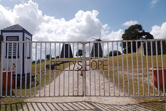 Antigua Eco Island Tour (City, Country, Beach, & Heritage Sites) - Who Will Enjoy This Tour?