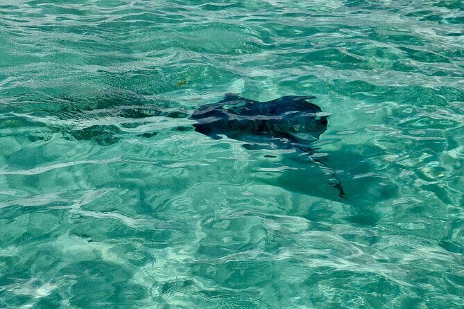 ANTIGUA FROM TOP TO BOTTOM: Stingray City, Beach, lunch & more... - Reflecting on Antigua’s Past at Betty’s Hope