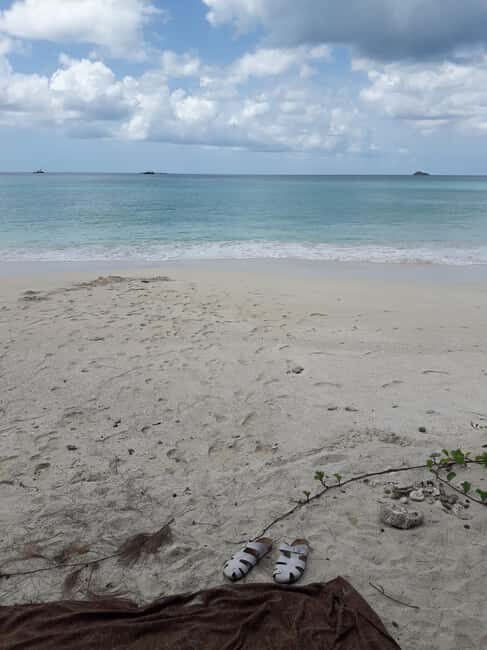 Antigua: Horseback Riding at Royalton or Dickenson Bay - Who This Tour Is Perfect For