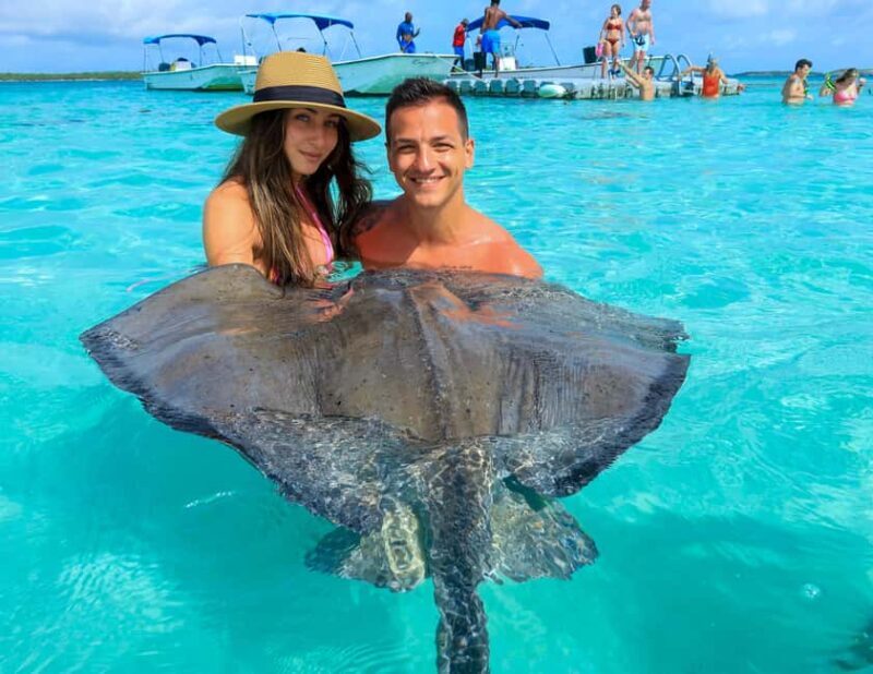 Antigua: Stingray City Experience with Round-Trip Transfer - Key Points