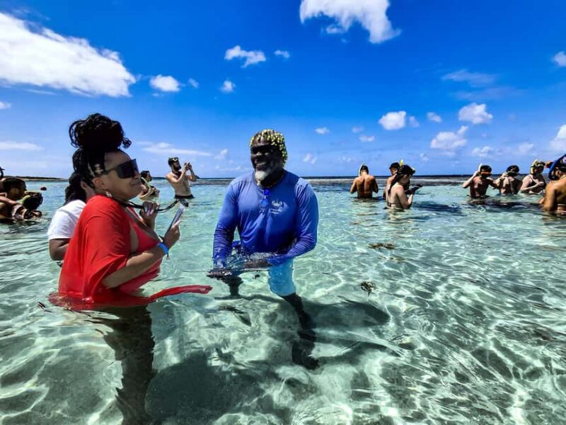 Antigua: Stingray City Experience with Round-Trip Transfer - Why Choose This Tour?