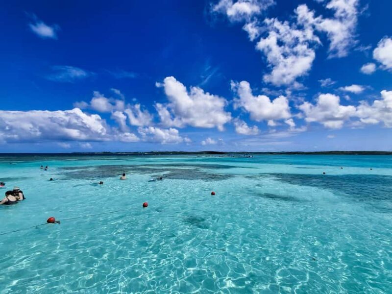 Antigua: Stingray City Experience with Round-Trip Transfer - What Makes the Experience Special?