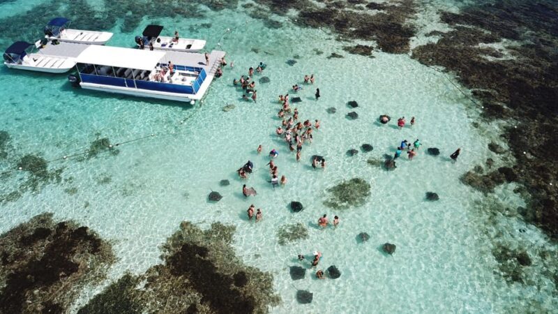 Antigua: Stingray City Experience with Round-Trip Transfer - Value for Money
