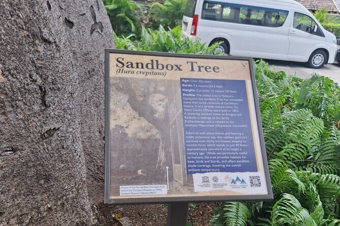 Antigua Tour and Beach - Who Will Love This Tour?