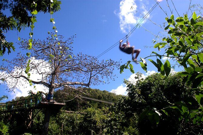 Antigua Zipline Canopy Adventure from St Johns - Authentic Perspectives from Travelers