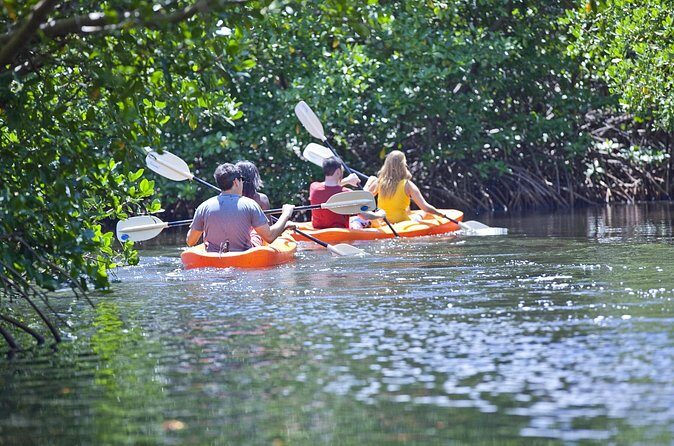 Antigua Zipline & Kayaking Combo From St. John's - Who Will Love This Tour?