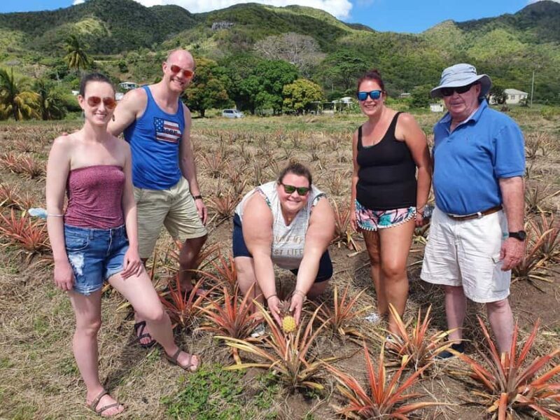 Antiguan experience home tour with local guide with lunch - Key Points
