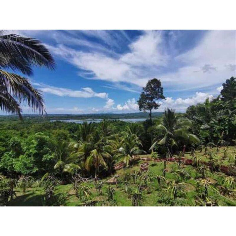 Antique Banga & Balete Tour - Concluding Thoughts: Who Will Love This Tour?