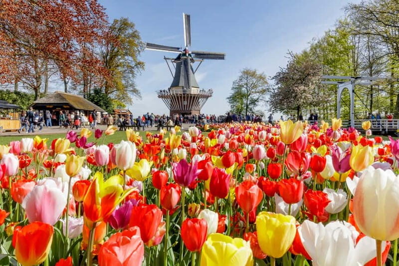 Antwerp: Full-day Holland Guided Keukenhof & Kinderdijk Tour - Frequently Asked Questions