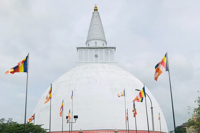 Anuradhapura ancient city tour with Travandgo tours - Introduction: Why Consider This Tour?