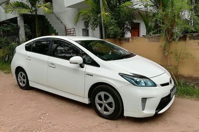 Anuradhapura City to Elephant Pass City Private Transfer - FAQ