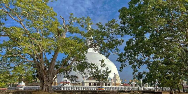 Anuradhapura Private Ancient City Day Tour - Who Should Consider This Tour?