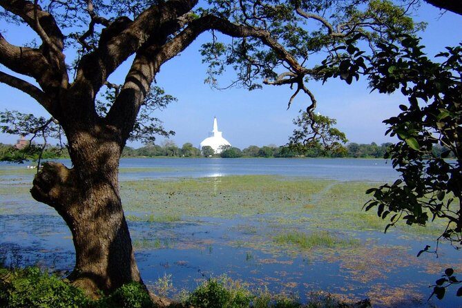 Anuradhapura Private Day Trip from Colombo, Negombo, or Katunayaka - Introduction