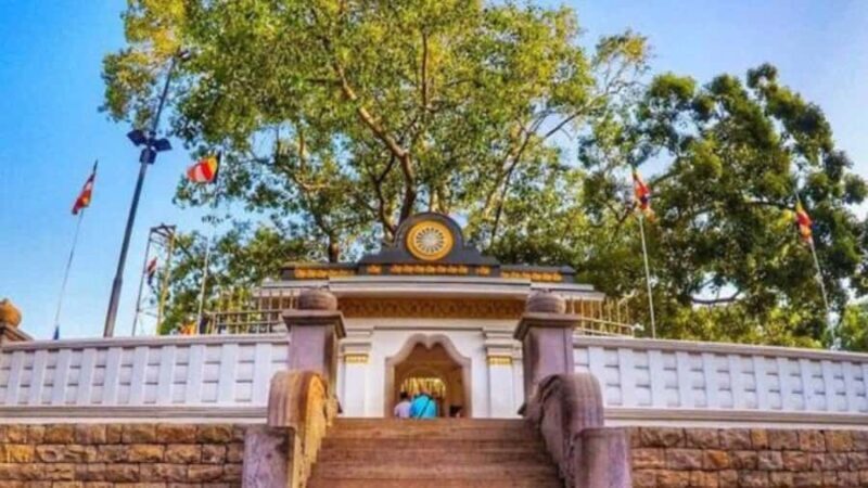 Anuradhapura to Sigiriya with Dambulla Cave Temple Visit - Full Breakdown of the Itinerary