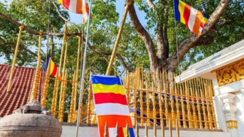 Anuradhapura: Tuk Tuk Tour with Temples & Hidden Stories - The Sum Up