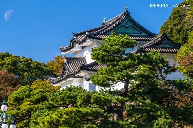 Anywhere you like! Tokyo Customized Tour in 3 hours - Introduction