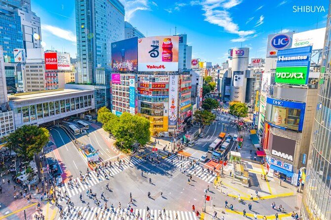 Anywhere you like! Tokyo Customized Tour in 3 hours - Key Points